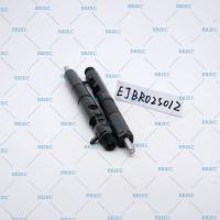 China Delphi Common Rail Injector EJBR02501Z Original ERIKC Diesel Fuel Injector for sale