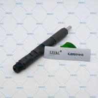 China Delphi Common Rail Injector R03101D EJBR03101D 8200421359 for Renault 3101D for sale