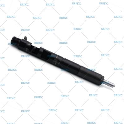 China Diesel Common Rail Injector EJBR05102D 28232251 For Delp R05102D Rebuild 5102D DACIA for sale