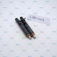 China EJBR01201Z Diesel Fuel Injection Pump R01201Z High Pressure Injector Original For Delphi 1201Z for sale