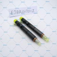 China For Delp EJBRO1701Z Diesel Fuel Injector Common Rail 1701Z Replacement for sale