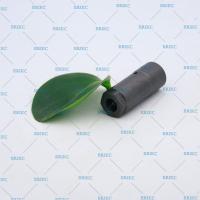 China Solenoid Clamping Nut E1024014 Nozzle retaining nut /  Tensioning nut for sale
