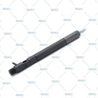 China ERIKC CR Injector EJBR04701D for SsangYong 4701D Diesel Fuel Injection Pump A6640170221 for sale