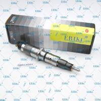 China Common Rail Fuel Injector 0445120253 0 445 120 253 Diesel Injector for Car 750g for sale