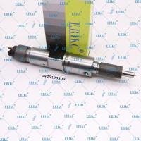 China ERIKC 0445120309 Common Rail Diesel Fuel Injector 0 445 120 309 for Dongfeng 700-750g for sale