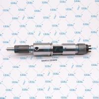 China ERIKC 0445120309 Common Rail Diesel Fuel Injector 0 445 120 309 for Dongfeng 700-750g for sale