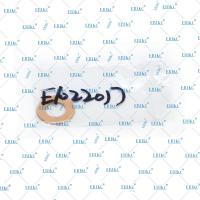 China ERIKC Denso Brass Shim E1022017 Common Rail Injector Copper Washer 5pcs for sale