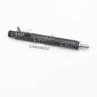 China ERIKC EJBR00801Z Diesel Engine Injection EJB R00801Z Fuel Unit Injector EJBR0 0801Z For Delp for sale