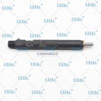 China ERIKC EJBR00801Z Diesel Engine Injection EJB R00801Z Fuel Unit Injector EJBR0 0801Z For Delp for sale