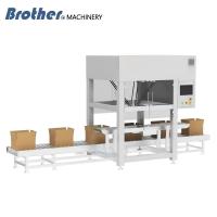 China BMWS1200  Functional Spider Hand Packing Cartoner Machine For Food Daily Necessities Hardware Accessories for sale