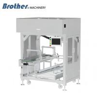 China BMZX-500R Two Axis Robotic Packing Machine , Horizontal Carton Packer for sale