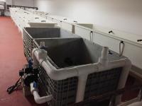 China Aquaculture Fish Tanks Fiberglass Ponds for sale