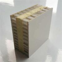China Fiberglass FRP Plastic PP Honeycomb Sandwich Panel for sale