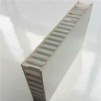 China Anti Slip Honey Comb Core Fiberglass Panel Sheet for sale