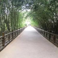China Fiberglass Wood Grain Texture Handrail Roadside Guardrail Park Bench for sale
