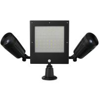 China IP65 Solar Garden Light with Light Control and Human Sensing for sale