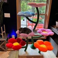 China High Quality Luxury Customised Eco-Friendly Cat Tree House Decoration Modern Sustainable Cat Scratcher Colorful Carton Halloween for sale