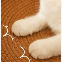 China Modern Hand-woven Collapsible Cat Nest Pet Bed with Rushes & Cotton Fill for Cats Dogs & Small Pets for sale