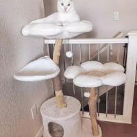 China European Customized Modern Luxury Halloween Cat Tower Condo Wooden Flower Cat Tree with Eco-Friendly Materials for sale