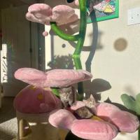 China New Design Cat Climbing Tower Condo Indoor Wooden Flower Cat Tree with Natural Sisal Scratching Post for sale