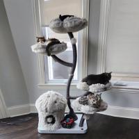 China Flower Modern Christmas Cat Tree High Quality Customised Colour Eco-friendly Carton Packaging Luxury Scratcher with Playing Toys for sale