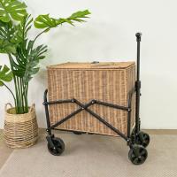 China Luxury Polyester Print Knitting Zipper Pet Carrier Suitcase Mat Handle Airline Approved Wheeled Stroller Trolley 10kg Capacity for sale