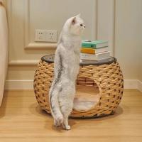 China High Quality Modern Cat House Glass Roof PE Waterproof Easy Clean Design for Living Room Outdoor Use All Seasons Pet Furniture for sale