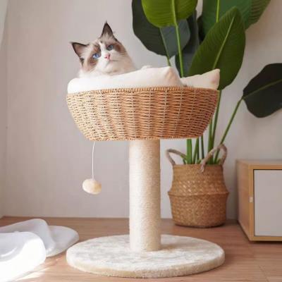 China Modern Eco-Friendly Wooden Cat Climbing Shelf Perch Platform Christmas Halloween Edition Carton Packaging for Indoor/Outdoor Use for sale