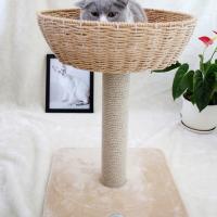 China Modern Eco-Friendly Wooden Cat Climbing Shelf Perch Platform Christmas Halloween Edition Carton Packaging for Indoor/Outdoor Use for sale