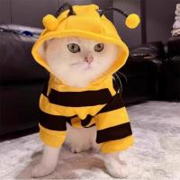 China New Fashion Classic Design All Seasons Stripes Cute Little Hoodie Dog Cat Two Feet Teddy Polyester Machine Washable Pet Clothes for sale