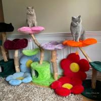 China Manufacturer Wholesale Luxury Solid Wood Eco-Friendly Colorful Flowers Stable Modern Customizable Multi-Occasion Cat Carton for sale