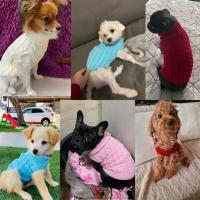 China Winter Warm Wool/Cotton Cute Striped Machine Washable Dog Cat Sweater for Small to Large Pets-Halloween Style for sale