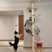 China Floor-to-Ceiling Modern Luxury Sisal Wood Adjustable Durable Cat Climbing Frame Jumping Platform Cat Tree Condo Furniture Carton for sale