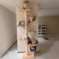 China Floor-to-Ceiling Modern Luxury Sisal Wood Adjustable Durable Cat Climbing Frame Jumping Platform Cat Tree Condo Furniture Carton for sale