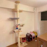China Floor-to-Ceiling Modern Luxury Sisal Wood Adjustable Durable Cat Climbing Frame Jumping Platform Cat Tree Condo Furniture Carton for sale
