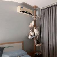 China Factory Wholesale High Quality Luxury Modern Tower Multi-Level Sisal Wood Adjustable Cat Tree Floor Ceiling Carton Packed for sale