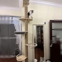 China Factory Wholesale High Quality Luxury Modern Tower Multi-Level Sisal Wood Adjustable Cat Tree Floor Ceiling Carton Packed for sale