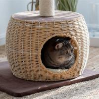 China Rattan Modern Cat Tree with Nest Kennel and Scratching Post Four Seasons Universal Carton Packed Halloween/Christmas Decor for sale
