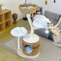 China Hot Sale Modern Classic Luxury Eco-Friendly Flower Cat Tree Interactive Cat Scratch Column Hammock Hand Woven Water Carton for sale