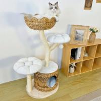 China Hot Sale Modern Classic Luxury Eco-Friendly Flower Cat Tree Interactive Cat Scratch Column Hammock Hand Woven Water Carton for sale