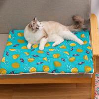 China Manufacturer Wholesale Cute Design Fleece Print Winter Soft Breathable Durable Cat Dog Pet Bed Mat for sale
