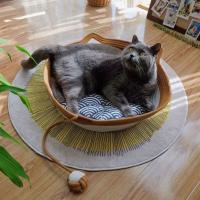 China Best Selling Striped Pattern Modern Style Handwoven Grass Round Portable Removable Washable Pet Bed for Cats for sale