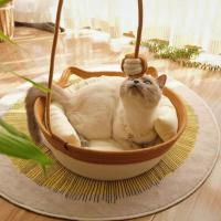 China Best Selling Striped Pattern Modern Style Handwoven Grass Round Portable Removable Washable Pet Bed for Cats for sale