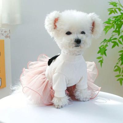 China Cute Striped Printed Lace Dog Dress in Tutu Princess Style for Spring Summer Spandex Material Halloween & Christmas for sale
