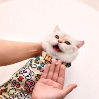 China Multi-Function Striped Cute Pet Wrap Cloth-Self-Adhesive Camera Lens Protective Bag 100% Cotton Portable Folding for sale