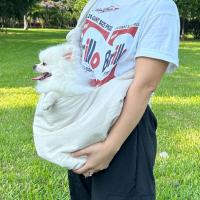 China Adjustable Dog & Cat Sling Portable Lightweight Waterproof Mesh Hands-Free Chest Bag Escape-Proof for Small Pets 15kg Daily Walk for sale