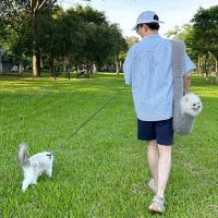 China Adjustable Waist Belt Chest Strap Traction Rope Foldable Pet Bag for Walking Running Jogging Training Dogs for sale