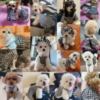 China Luxury 2025 Summer Cute Striped Puppy Dress Dogs Cats Chihuahua Bichon Yorkie Halloween Costume XXL Suspender Skirt Hat Vest Set for sale