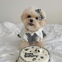 China Luxury 2025 Summer Cute Striped Puppy Dress Dogs Cats Chihuahua Bichon Yorkie Halloween Costume XXL Suspender Skirt Hat Vest Set for sale