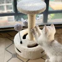 China Luxury Eco-Friendly Durable Small Cat Tree with Turntable Type Toy Sisal Teasing and Claw Grinding for Halloween for sale